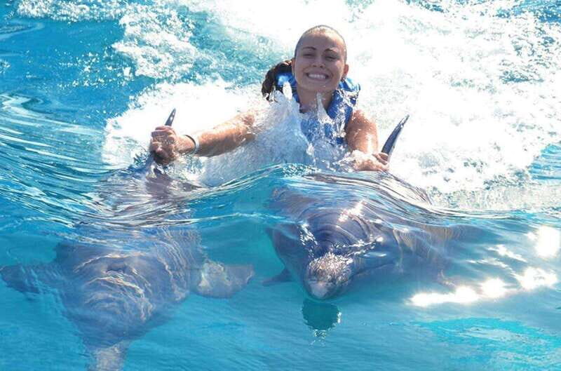 Puerto Vallarta: Dolphin Royal Swim at Aquaventuras Park - What Makes the Dolphin Interaction Special?