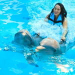 Puerto Vallarta: Dolphin Swimming and Aquaventuras Park - What’s the Real Value?
