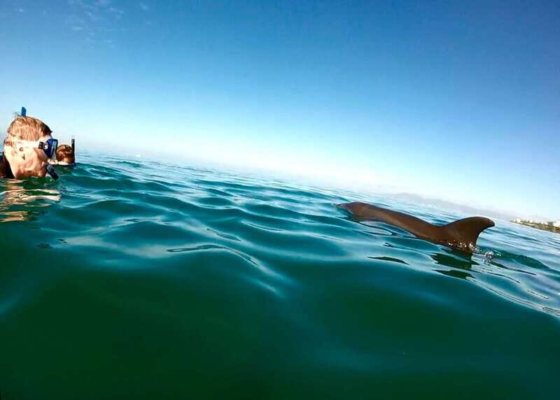 Puerto Vallarta: Dolphin Watching Cruise with a Biologist - In-Depth Review: Why This Tour Stands Out