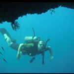 Puerto Vallarta: El Chimo Scuba Diving Expedition - Logistics and Practical Details