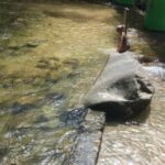 Puerto Vallarta: El Eden ZipLine Adventure - Post-Zip Relaxation: Waterfalls and Dining
