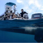 Puerto Vallarta: Exploring Majahuitas Underwater - What to Expect: A Day of Discovery