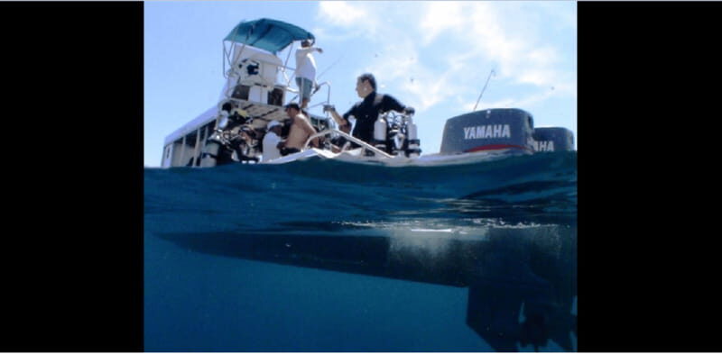 Puerto Vallarta: Exploring Majahuitas Underwater - What to Expect: A Day of Discovery