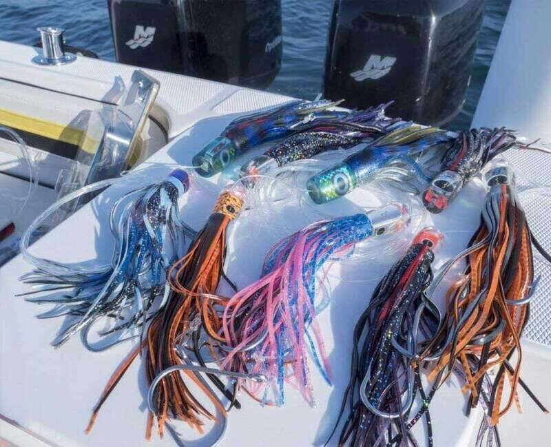 Puerto Vallarta: Fishing Cachi I 28 - The Itinerary in Detail