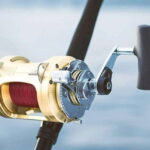 Puerto Vallarta: Fishing Lucky I 28 - What to Expect on Your Trip