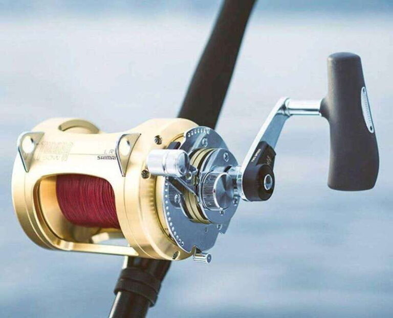 Puerto Vallarta: Fishing Lucky I 28 - What to Expect on Your Trip