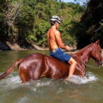 Puerto Vallarta Horseback Riding - Final Thoughts: Who Will Love This Tour?