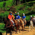Puerto Vallarta: Horseback Riding Adventure at Canopy River - Visiting Tiger Cave: A Mix of History and Nature