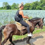 Puerto Vallarta: Horseback Riding at Hacienda Doña Engracia - The Itinerary: What You Can Expect