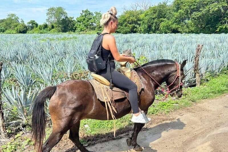 Puerto Vallarta: Horseback Riding at Hacienda Doña Engracia - The Itinerary: What You Can Expect