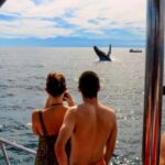 Puerto Vallarta: Mega Yacht Whale Watching Sunset Cruise - The Itinerary Breakdown