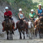Puerto Vallarta: Outdoor Ziplines and Rappel Adventure - Zip Lines through the Rainforest