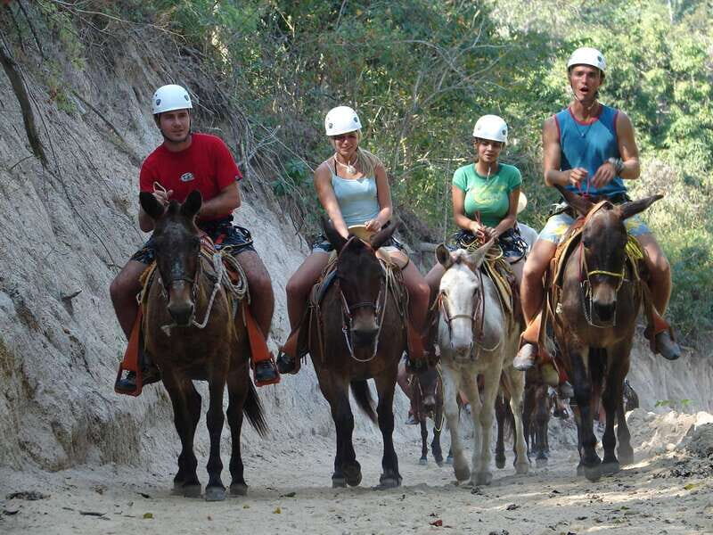 Puerto Vallarta: Outdoor Ziplines and Rappel Adventure - Zip Lines through the Rainforest
