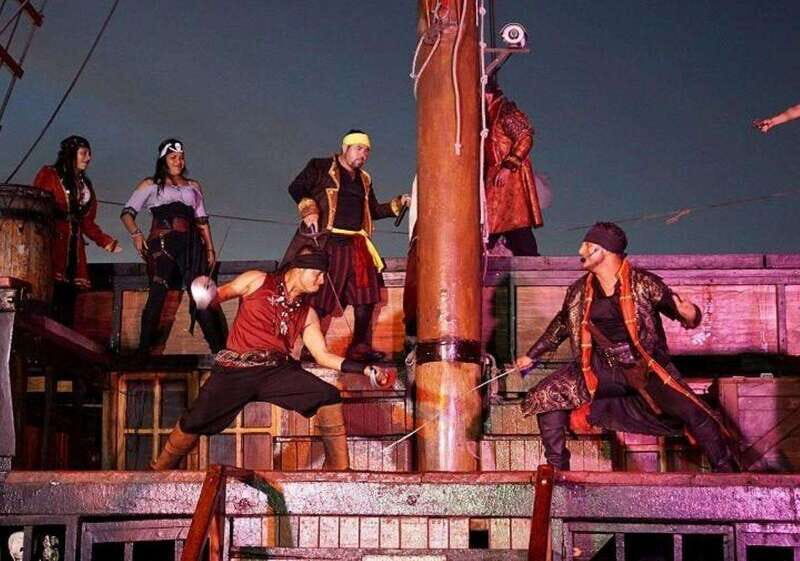 Puerto Vallarta: Pirate Cruise With Dinner, Show, Open Bar - The Overall Experience: Balance and Value