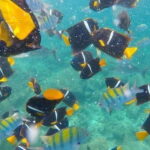 Puerto Vallarta: Pirate Ship Adventure - Whats Included and What It Means for You