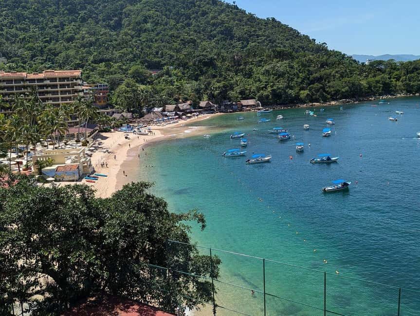 Puerto Vallarta: Private Colomitos & Madagascar Beaches Tour - An In-Depth Look at the Tour