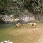 Puerto Vallarta: Private Tour Hiking Quimixto Waterfall - Analyzing the Value
