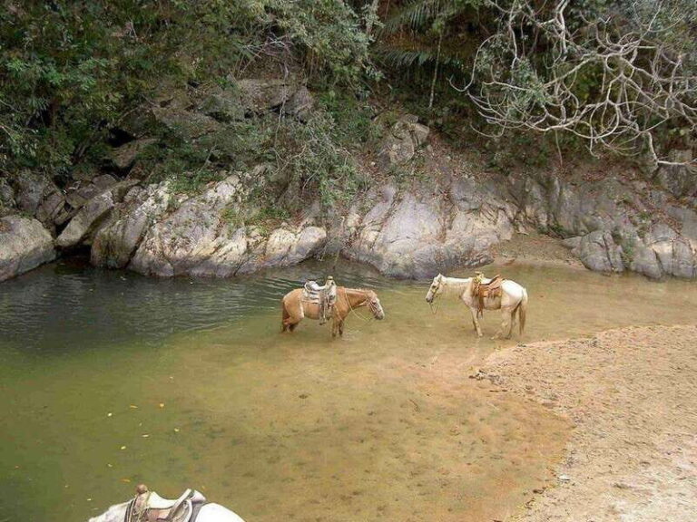 Puerto Vallarta: Private Tour Hiking Quimixto Waterfall - Analyzing the Value