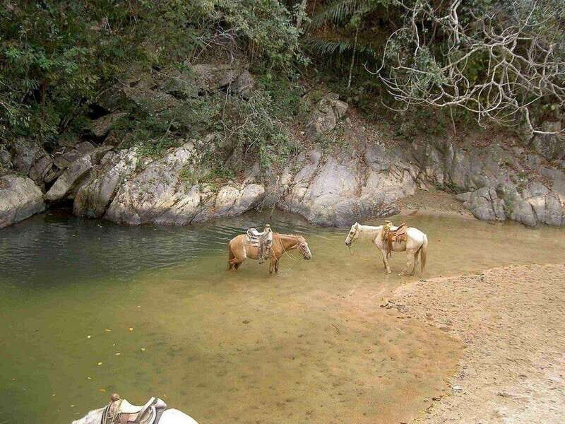 Puerto Vallarta: Private Tour Hiking Quimixto Waterfall - Analyzing the Value