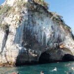 Puerto Vallarta: Private Tour Los Arcos Snorkeling - The Value of This Experience
