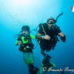 Puerto Vallarta: Scuba Diving Expedition at El Malinal - What You Can Expect During the Tour
