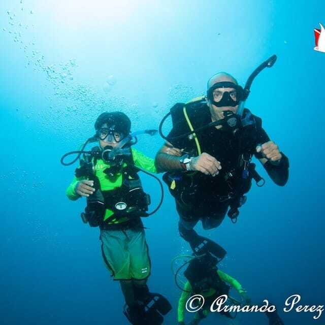 Puerto Vallarta: Scuba Diving Expedition at El Malinal - What You Can Expect During the Tour