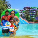 Puerto Vallarta: Sea Lion Discovery - The Details: Itinerary and Practicalities