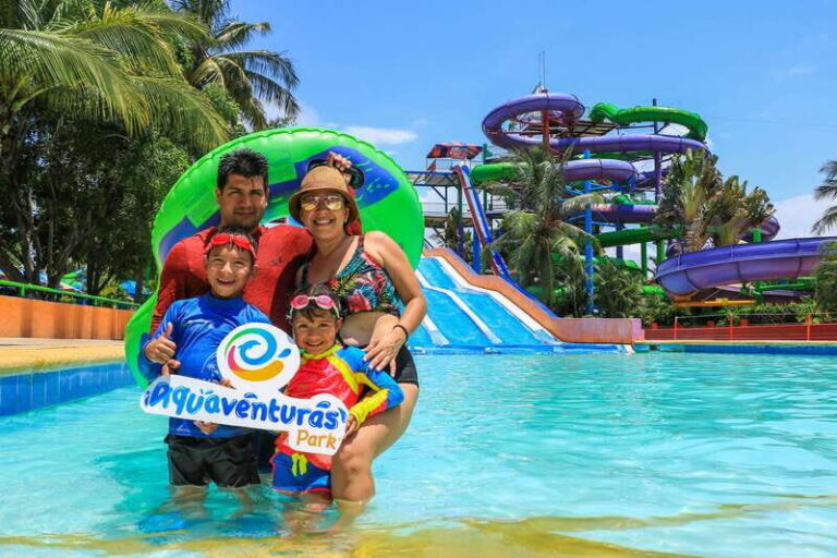 Puerto Vallarta: Sea Lion Discovery - The Details: Itinerary and Practicalities