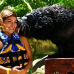 Puerto Vallarta: Sea Lion Discovery at Aquaventuras Park - The Water Park and Additional Attractions
