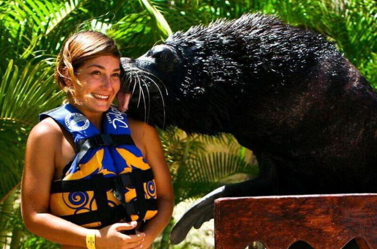 Puerto Vallarta: Sea Lion Discovery at Aquaventuras Park - The Water Park and Additional Attractions
