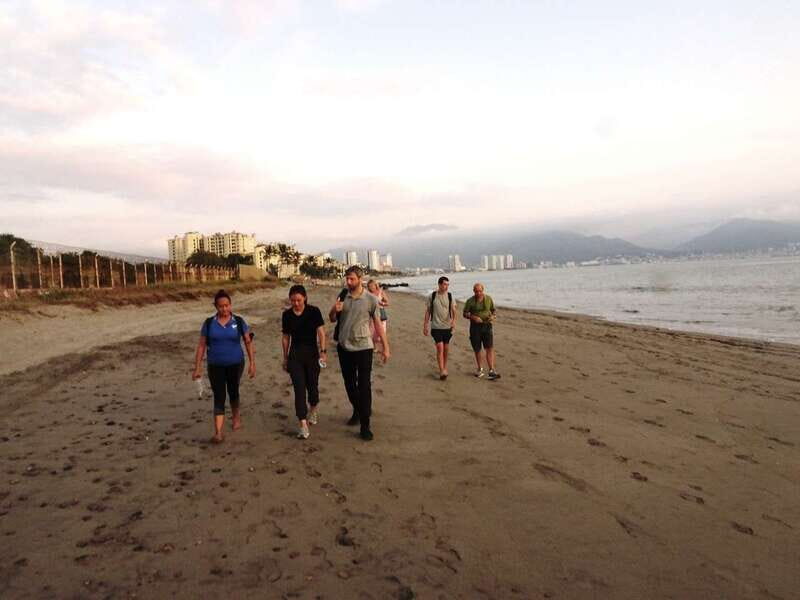 Puerto Vallarta: Sea turtle release at Sunset - What’s Included & What’s Not