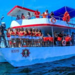 Puerto Vallarta: The Predator of the Sea - An Itinerary Designed for Variety