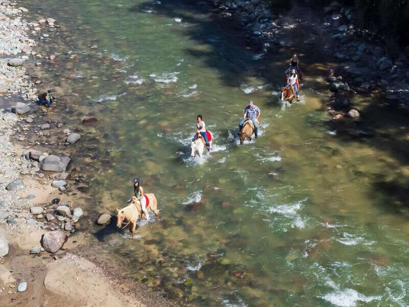 Puerto Vallarta: Tropical Forest Horseback Riding Adventure - The Perfect Mix of Adventure and Relaxation