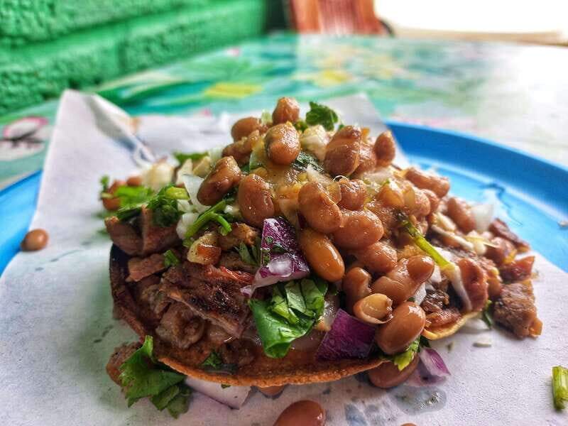 Puerto Vallarta: Ultimate Taco Tour in Versalles - Key Points