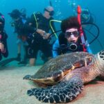 Puerto Vallarta Undersea Private Scuba Diving - Who Would Love This Tour?