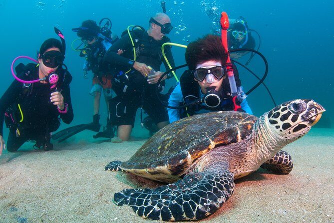 Puerto Vallarta Undersea Private Scuba Diving - Who Would Love This Tour?