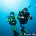 Puerto Vallarta: Underwater Wonderland at Los Arcos - The Itinerary: What to Expect
