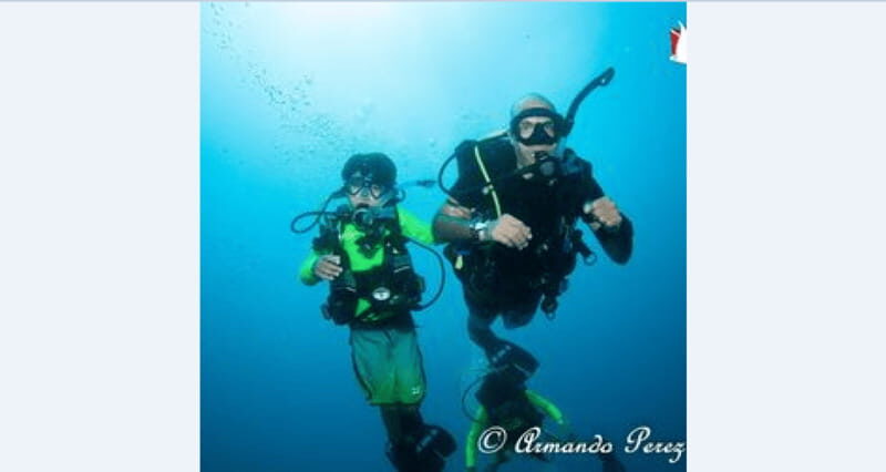 Puerto Vallarta: Underwater Wonderland at Los Arcos - The Itinerary: What to Expect