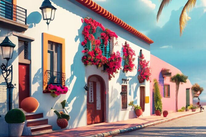 Puerto Vallarta VIP Promotional Tour - FAQ
