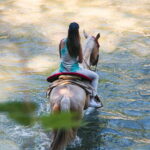 Puerto Vallarta: Wild Tour Horseback Adventure - Who Will Love This Tour?