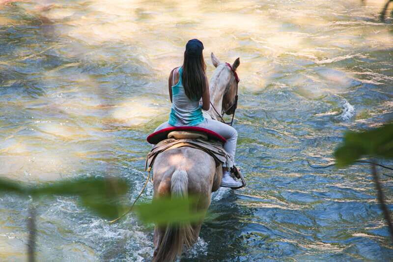 Puerto Vallarta: Wild Tour Horseback Adventure - Who Will Love This Tour?