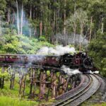 Puffing Billy and Penguin Parade Day Tour From Melbourne - Final Thoughts: Who Should Consider This Tour?
