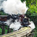 Puffing Billy And Phillip Island Penguin Parade Bus Tour - Key Points