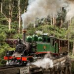 Puffing Billy Railway: Heritage Steam Train Journey - What to Expect at Puffing Billy