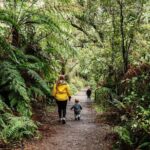 Puffing Billy & Rainforest Tour from Melbourne - Price and Value Analysis