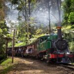 Puffing Billy Train and Penguins Wildlife Tour - A Closer Look at the Tour Experience