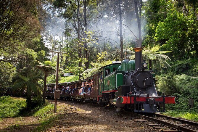 Puffing Billy Train and Penguins Wildlife Tour - A Closer Look at the Tour Experience