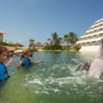 Punta Cancun: Swim with dolphins Harmony - The Value and Practicalities