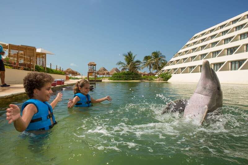 Punta Cancun: Swim with dolphins Harmony - The Value and Practicalities