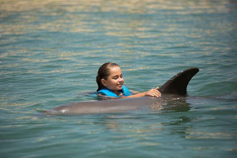 Punta Cancun: Swim with dolphins Interax - The Itinerary Breakdown: What to Expect